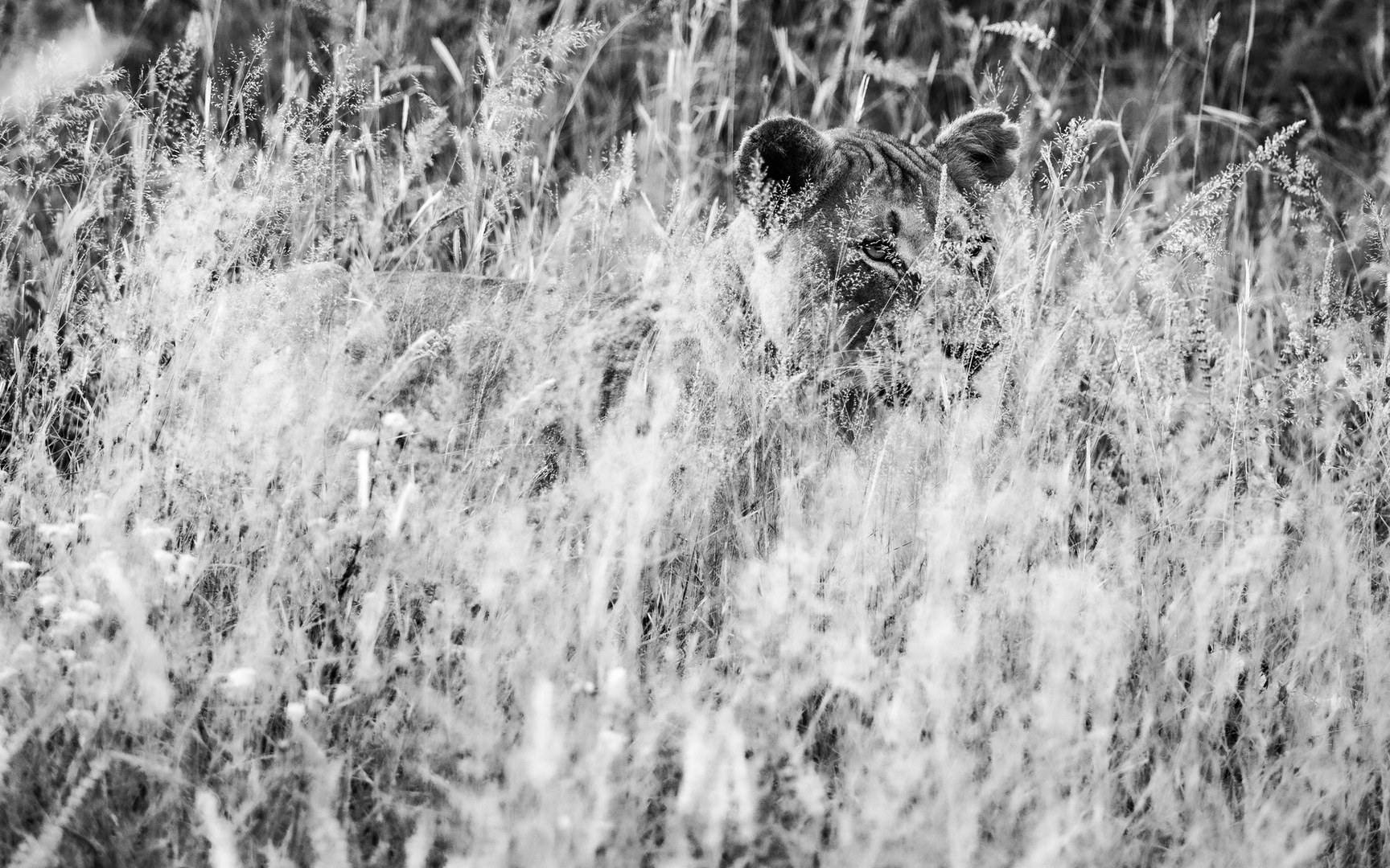 Με ποιον τρόπο έγινε η Σουηδία μια smoke-free χώρα; - OW.GR